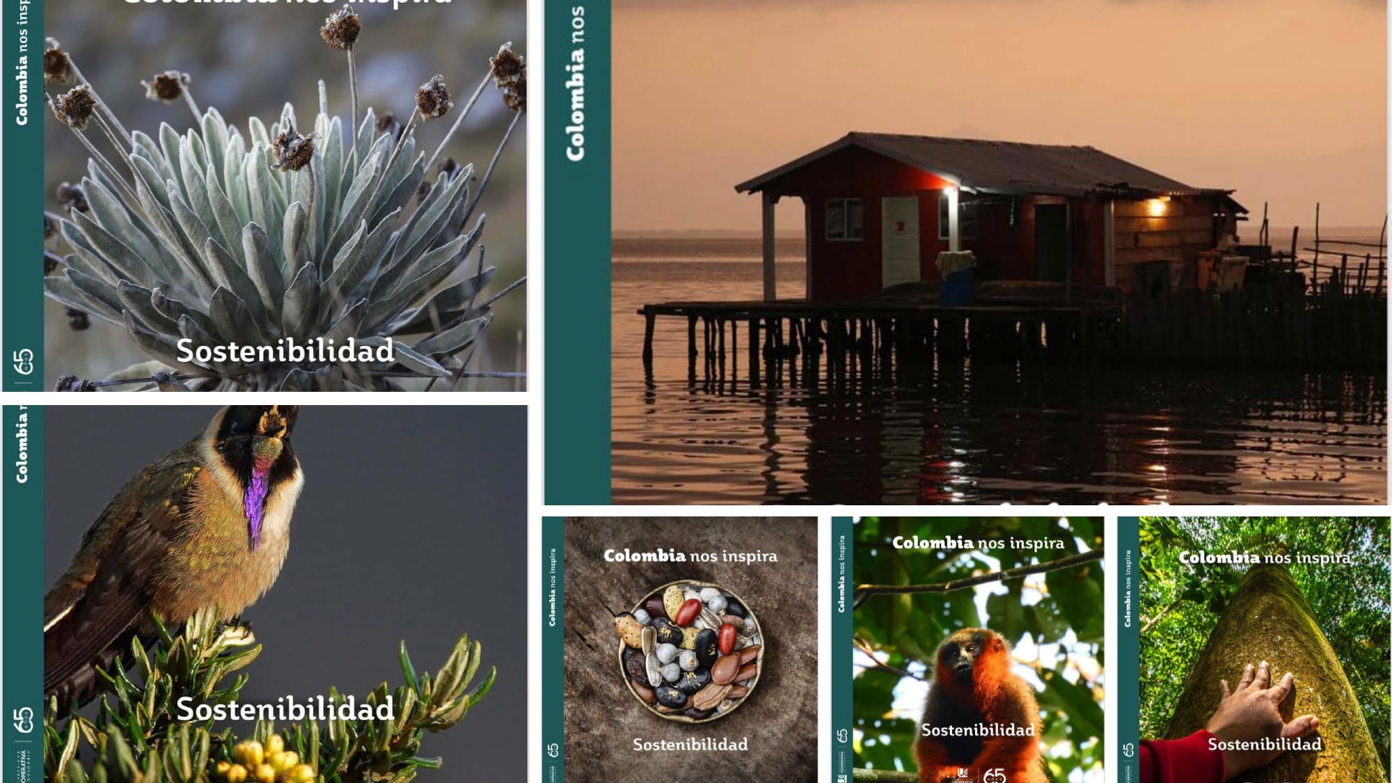 Colombia nos Inspira – Sostenibilidad, espectacular recorrido por la ...